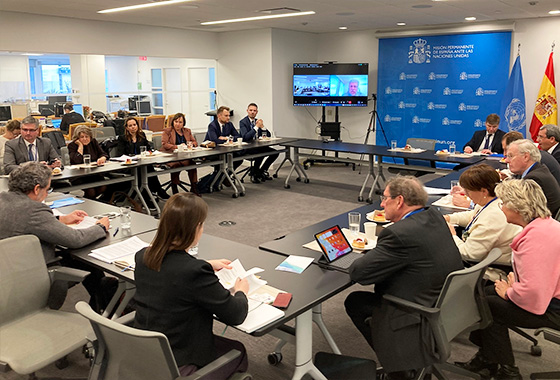 PACE sub-committee visit to the UN: co-operation and complementarity ...