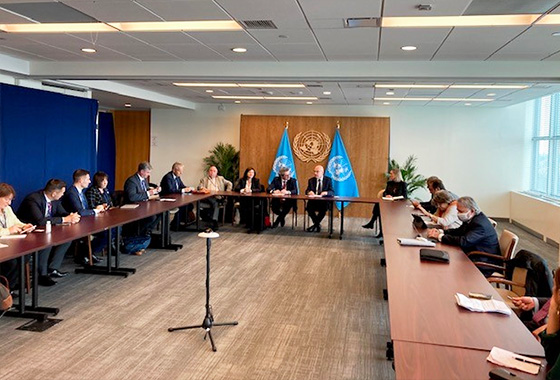 PACE sub-committee visit to the UN: co-operation and complementarity ...