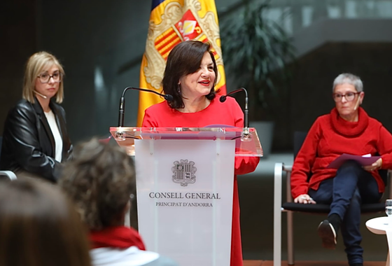 The Secretary General of the Assembly presents the experience of the ...