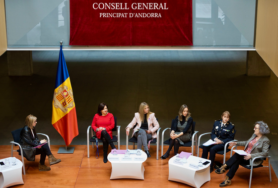 The Secretary General of the Assembly presents the experience of the ...