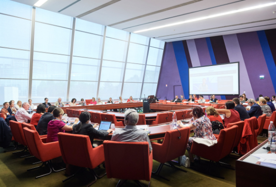 Bureau, Standing Committee and committees